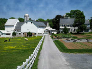 Visitors Center – Mennonite Life