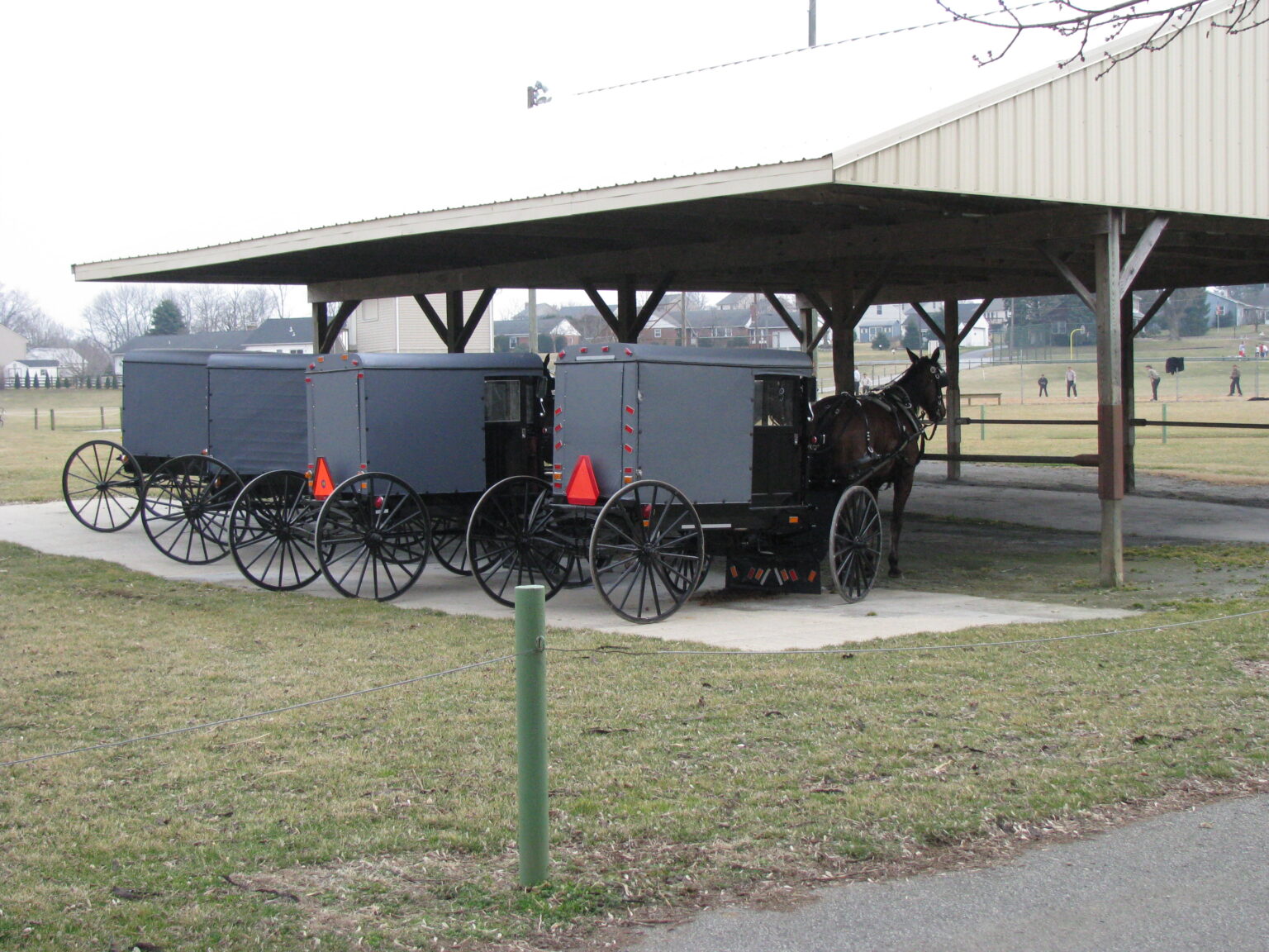 Field Trip Inquiry – Mennonite Life